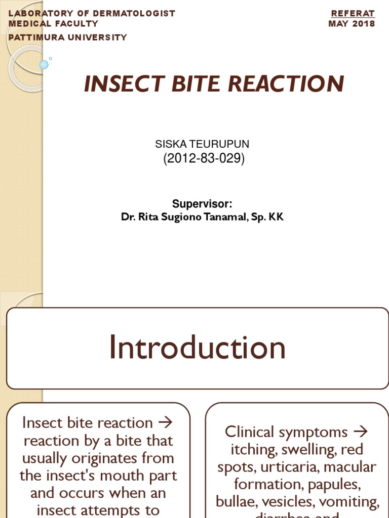 Insect Bite Reactions and Management | PDF | Allergy | Dermatitis