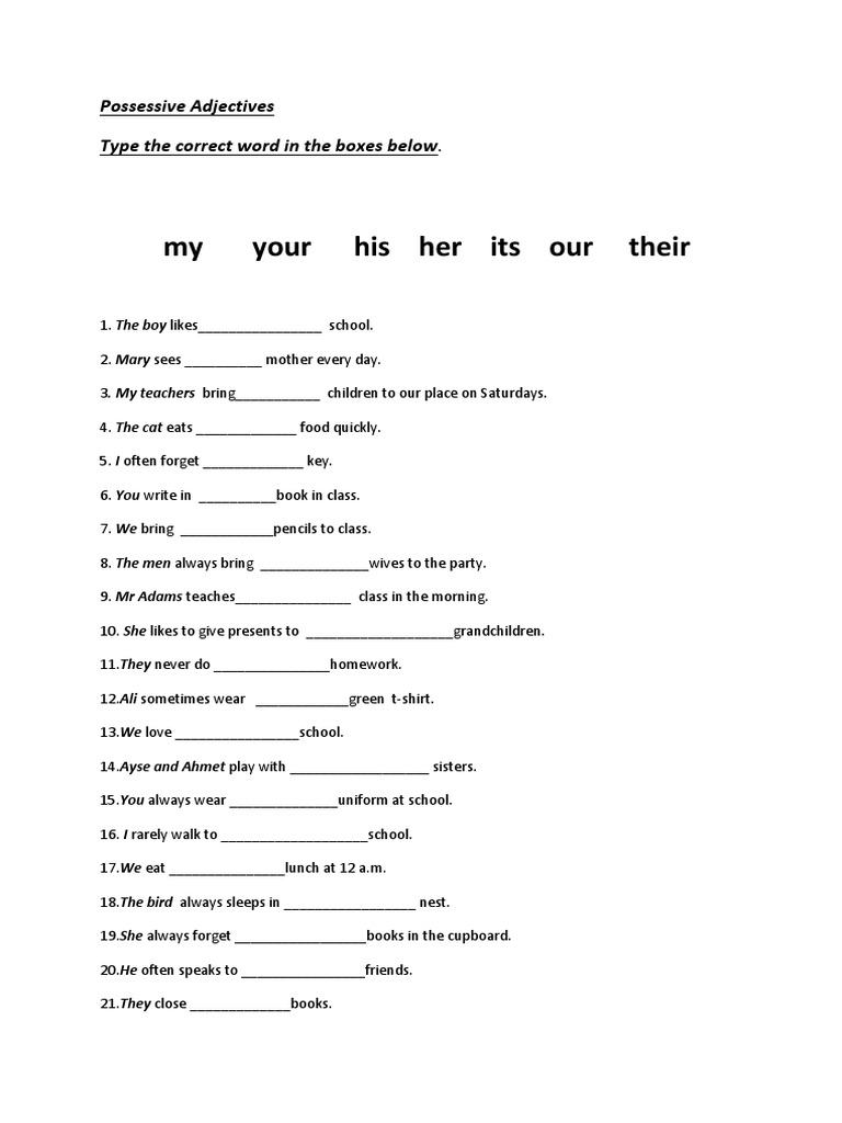 Possessive Adjectives Fun Activities Games Grammar Drills - 5365 | PDF