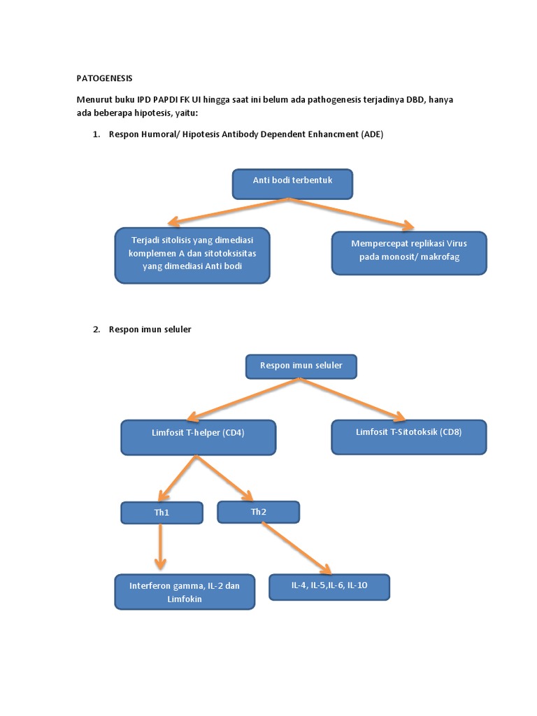 Patogenesis DBD | PDF