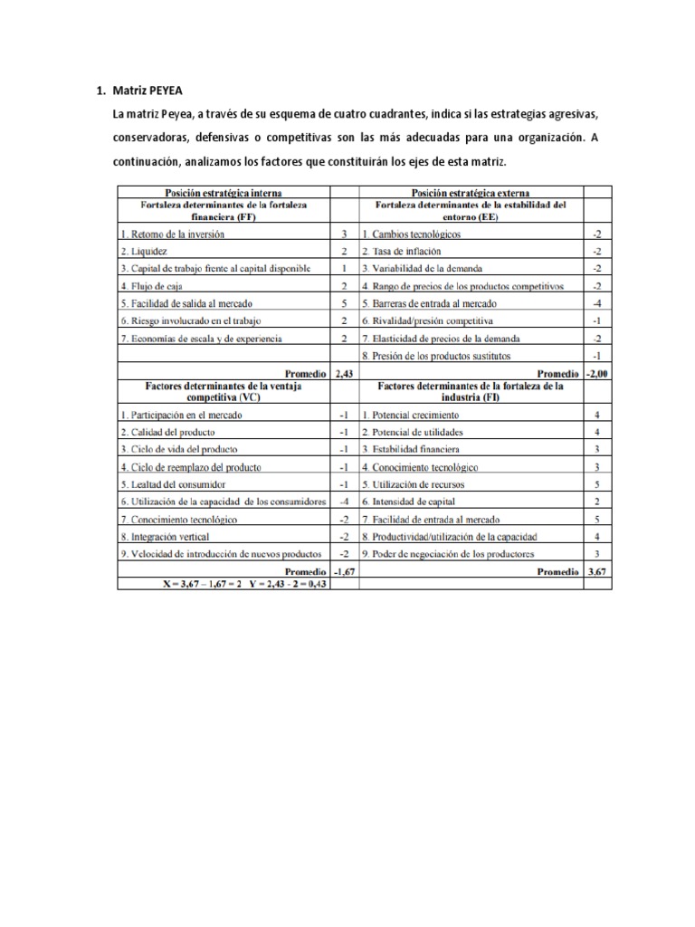 Matriz Peyea | PDF