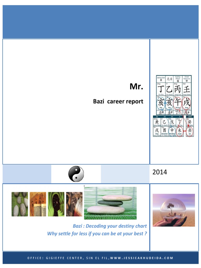 Bazi Career Report SAMPLE PDF | PDF | Leadership | Reason