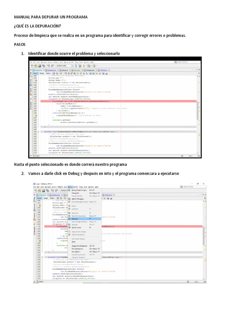Manual para Depurar Un Programa | PDF | Programa de computadora | Programación