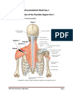 Deltopectoral Approach for Humerus Surgery | PDF | Anatomical Terms Of ...