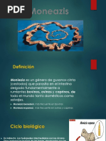 Otobius Megnini. Parasitologia. | PDF