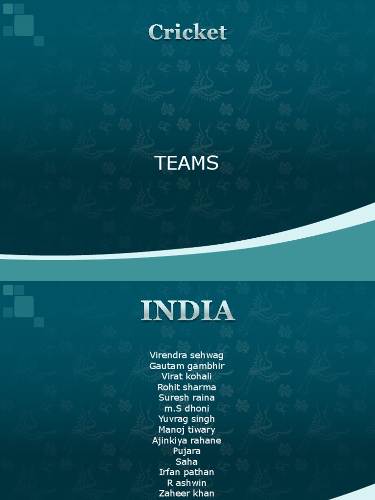 India's Top Cricket Players List | PDF