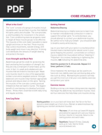 Sahrmann Core Stability Test Levels | PDF