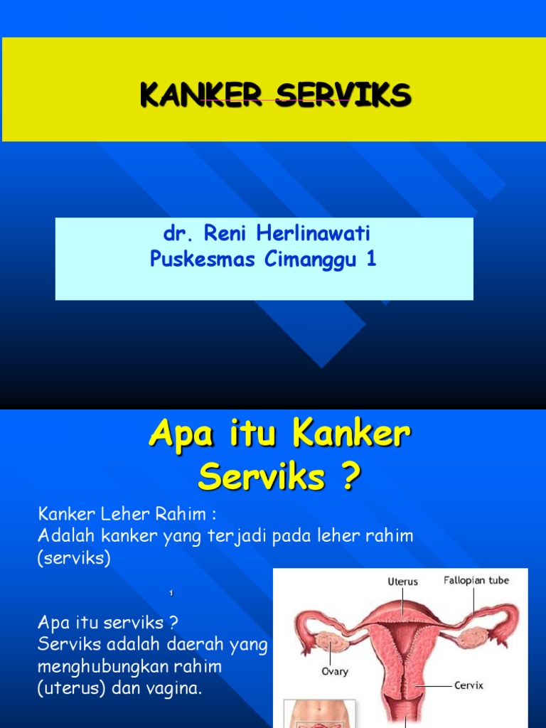 CA Serviks Reni | PDF