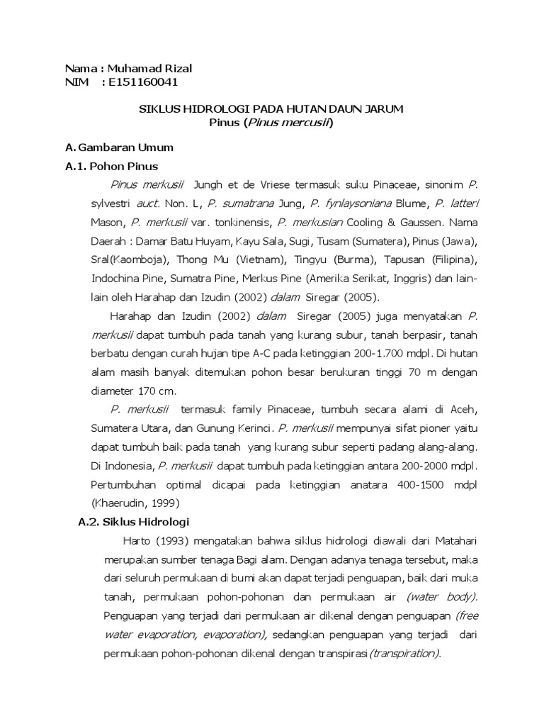 Siklus Hidrologi Hutan Pinus | PDF | Griya & Taman | Sains & Matematika