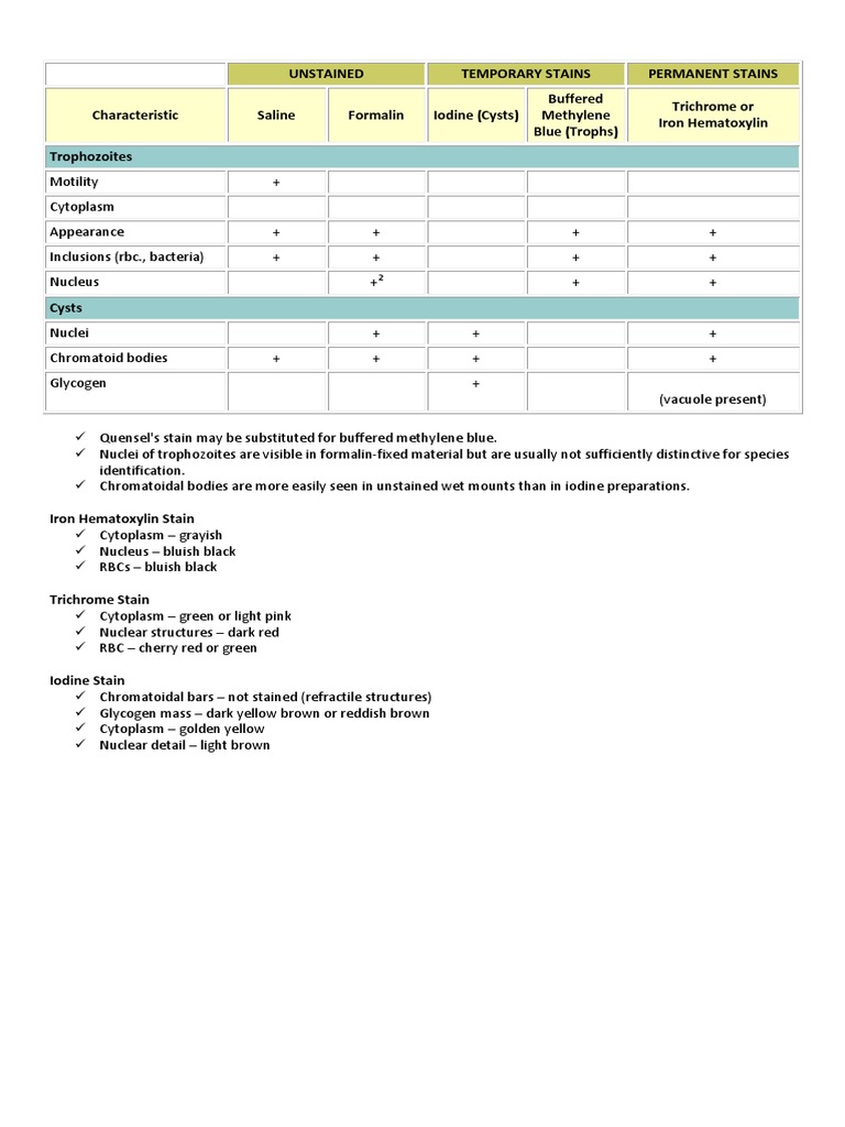 Amoeba Chart | Download Free PDF | Staining | Cell Biology