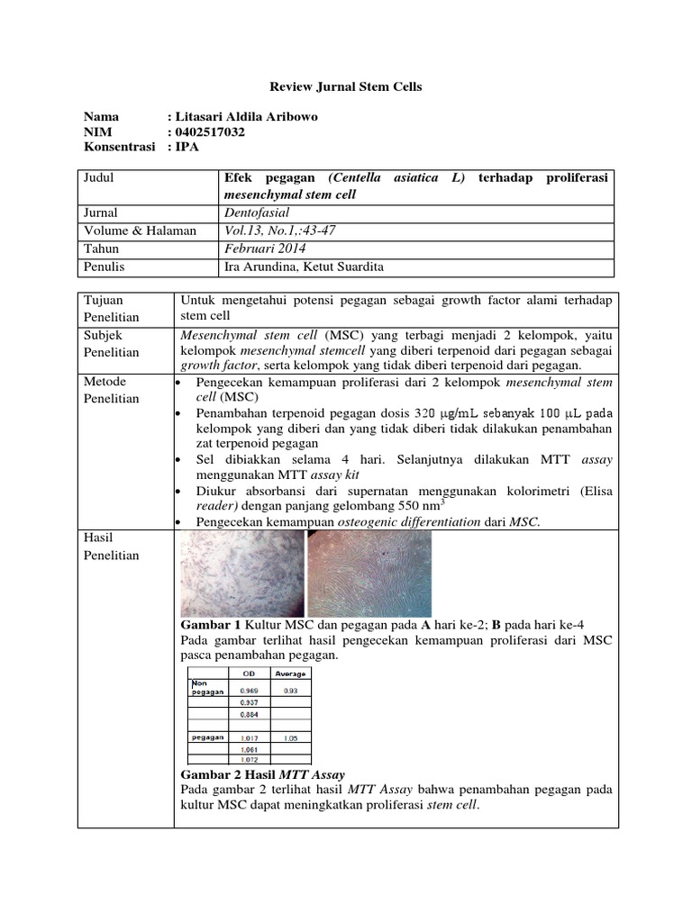 Review Jurnal Stem Cells | PDF