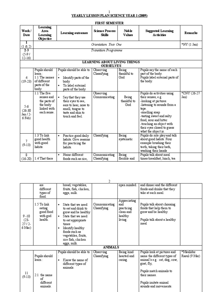 Year 1 Science Lesson Plan | PDF | Taste | Senses