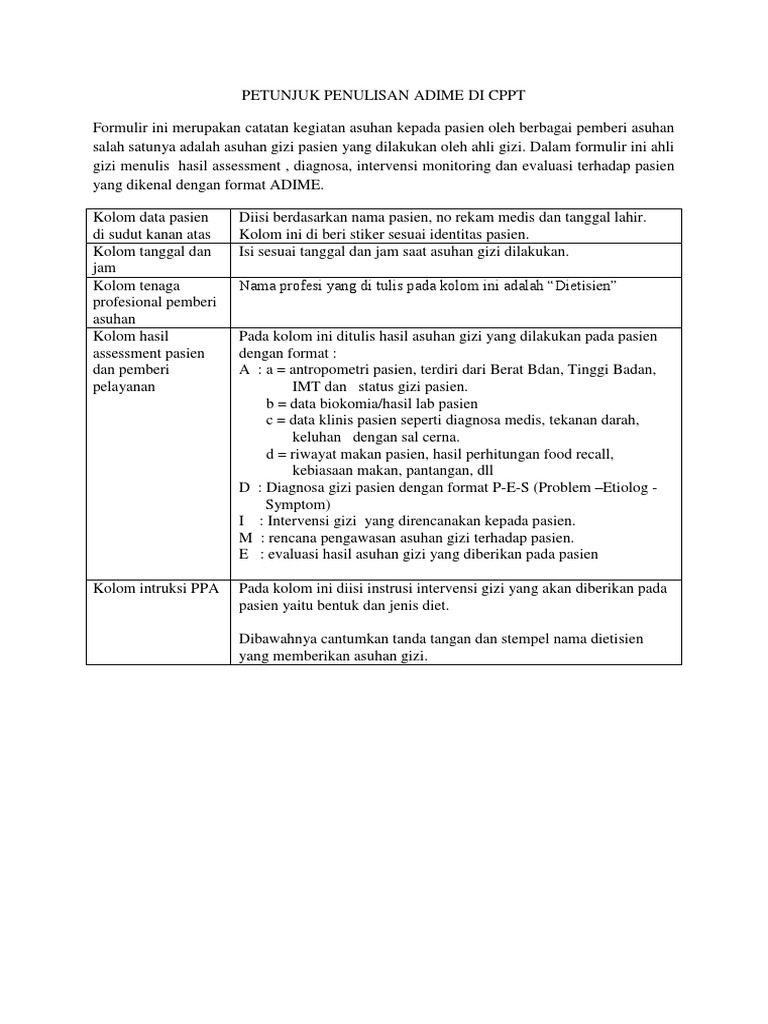 Petunjuk Penulisan Adime Di CPPT | PDF
