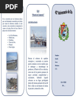 El Capitán Fush Rosa María Bedoya | PDF | Ficción general