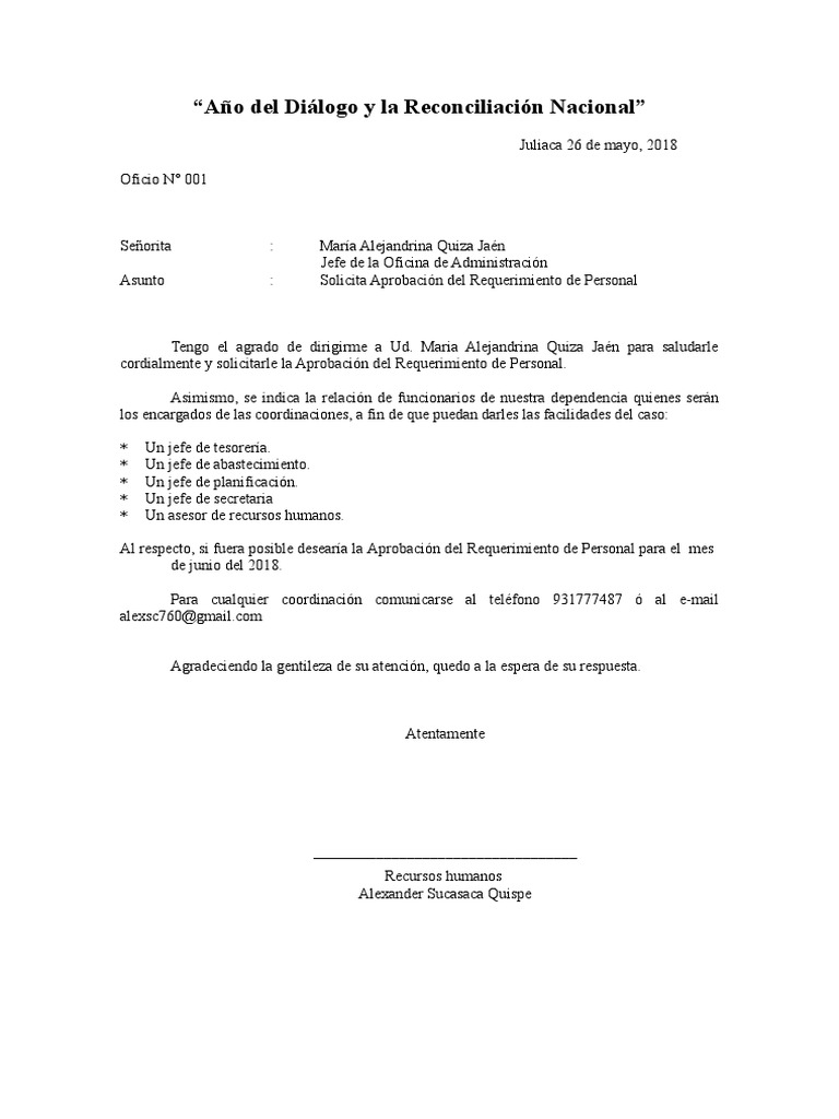 Modelo de Solicitud de Requerimiento Grupo | PDF