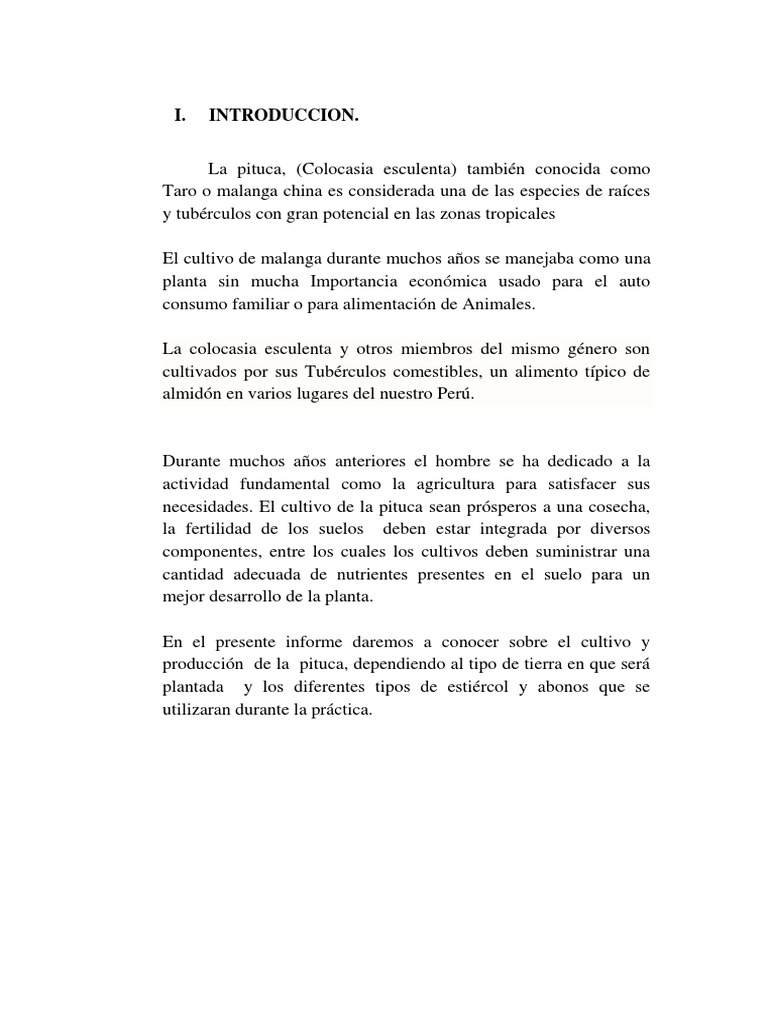 Pituca Cultivo | PDF | Fertilizante | Nutrientes