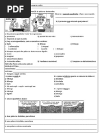 Prova de Português 3º Ano - 1º Bim | PDF | Sílaba | Linguística