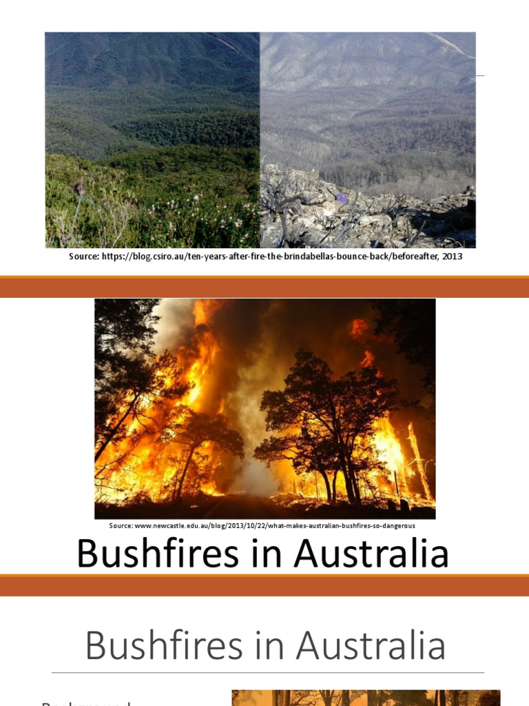 Bushfires Oral Presentation Model | PDF | Fires | Natural Hazards