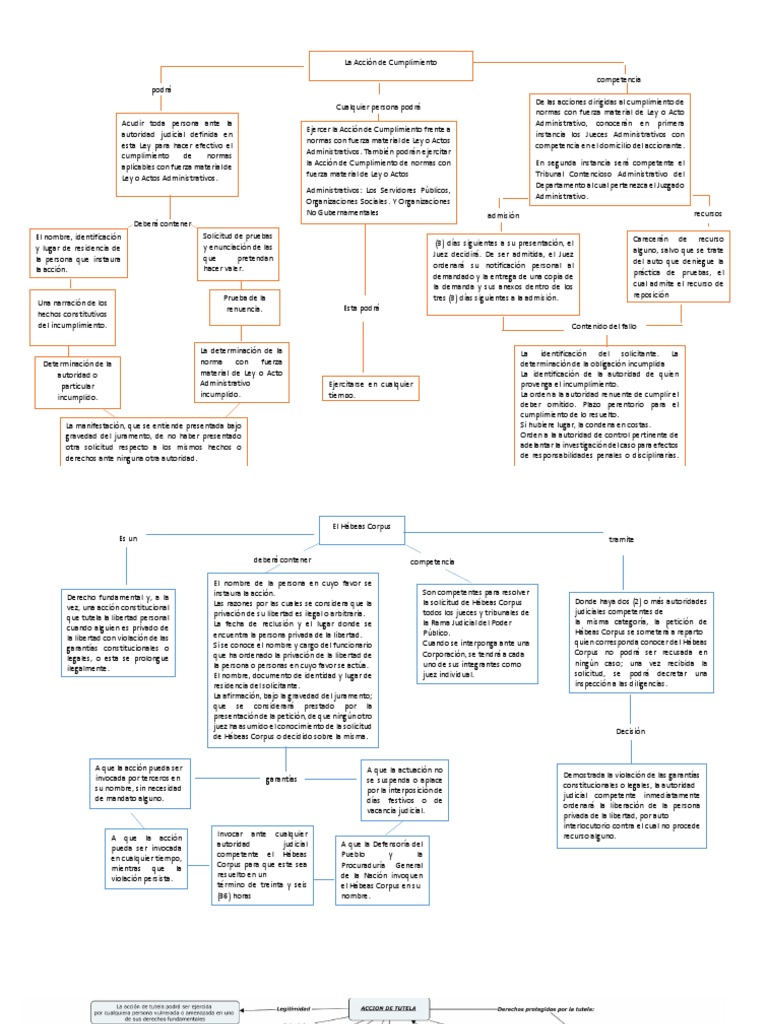 mapas conceptuales.docx | Habeas corpus | Juez