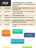 IGCSE Biology Topic 8 Transport in Plants Presentation | PDF | Leaf ...
