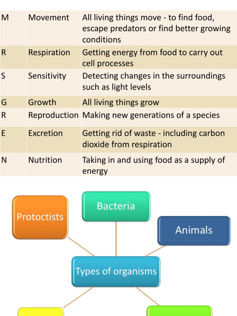 Edexcel Biology Section 1 Powerpoint Igcse | PDF | Cell (Biology) | Enzyme