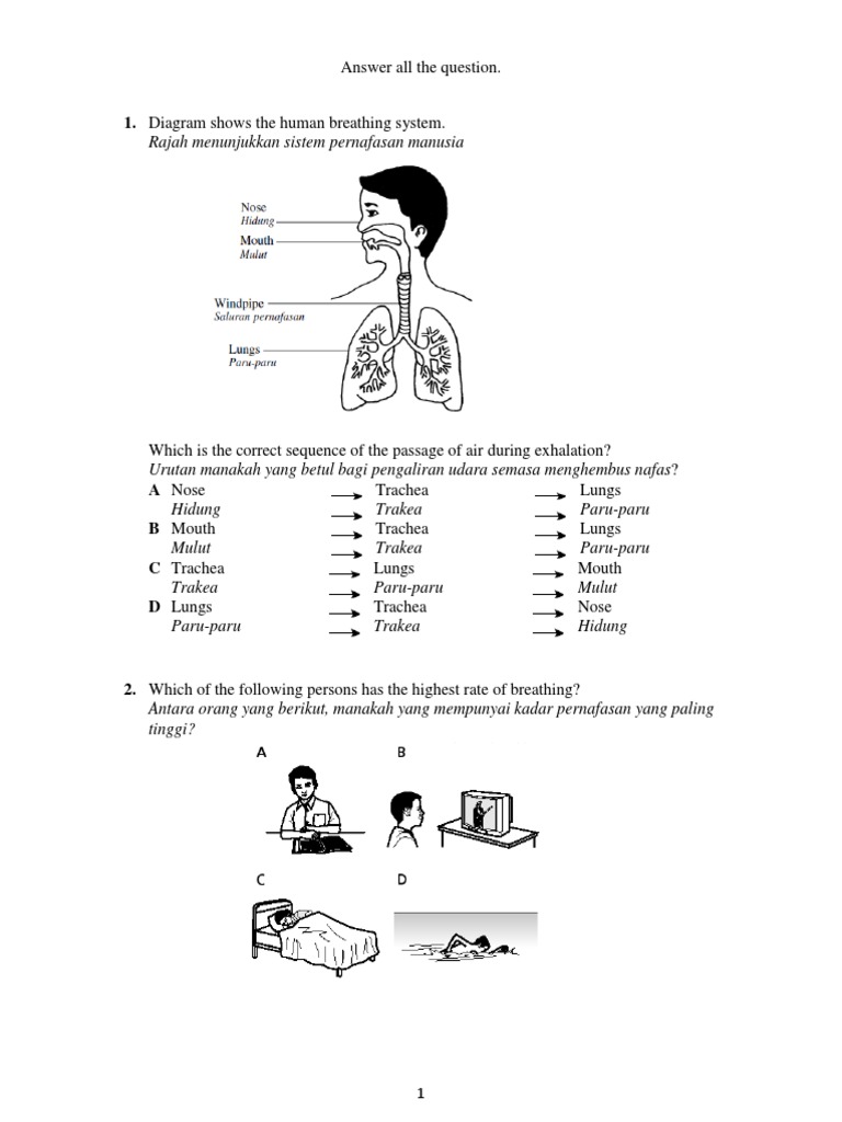 DLP t.4 Mid Year Paper 1 | PDF