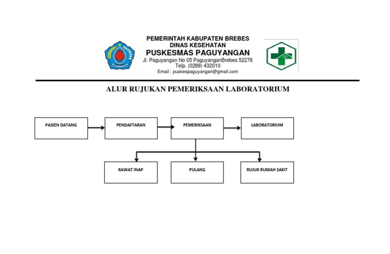 Alur Rujukan LABORATORIUM | PDF