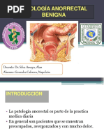 El Paciente Con Proctorragia Como Abordarlo | PDF | Hemorroides ...