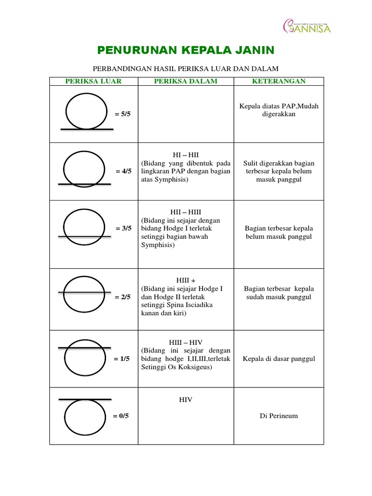Penurunan Kepala Janin | PDF