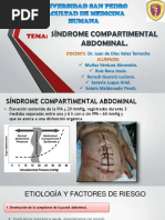 Niveles Axilares de Berg | PDF | Finanzas y dinero