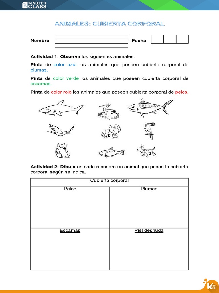 Actividades sobre cubiertas corporales de animales | PDF
