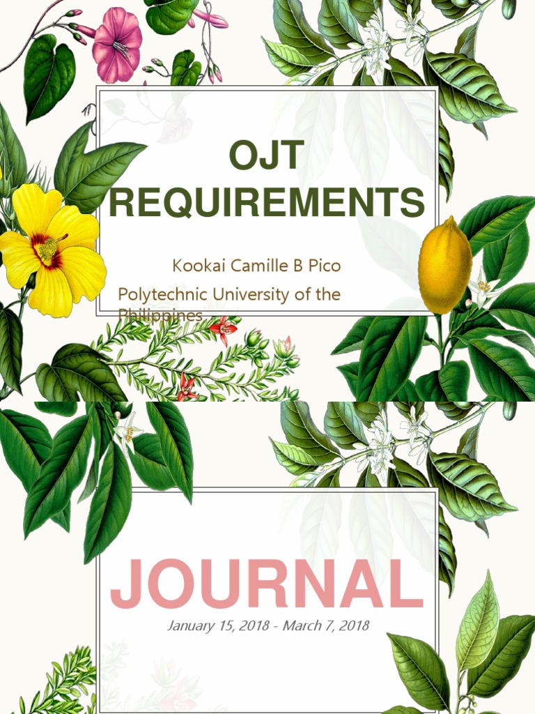 OJT Requirements: Kookai Camille B Pico Polytechnic University of The Philippines | PDF | Color ...