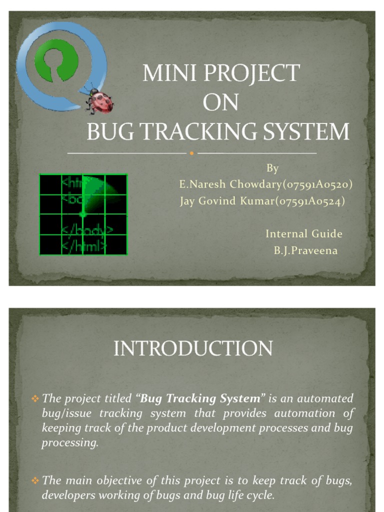 Bug Tracking System | PDF | Software Bug | Microsoft Visual Studio