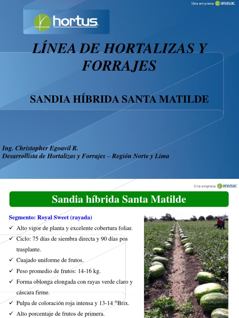 Sandia Santa Matilde - Hortus | PDF