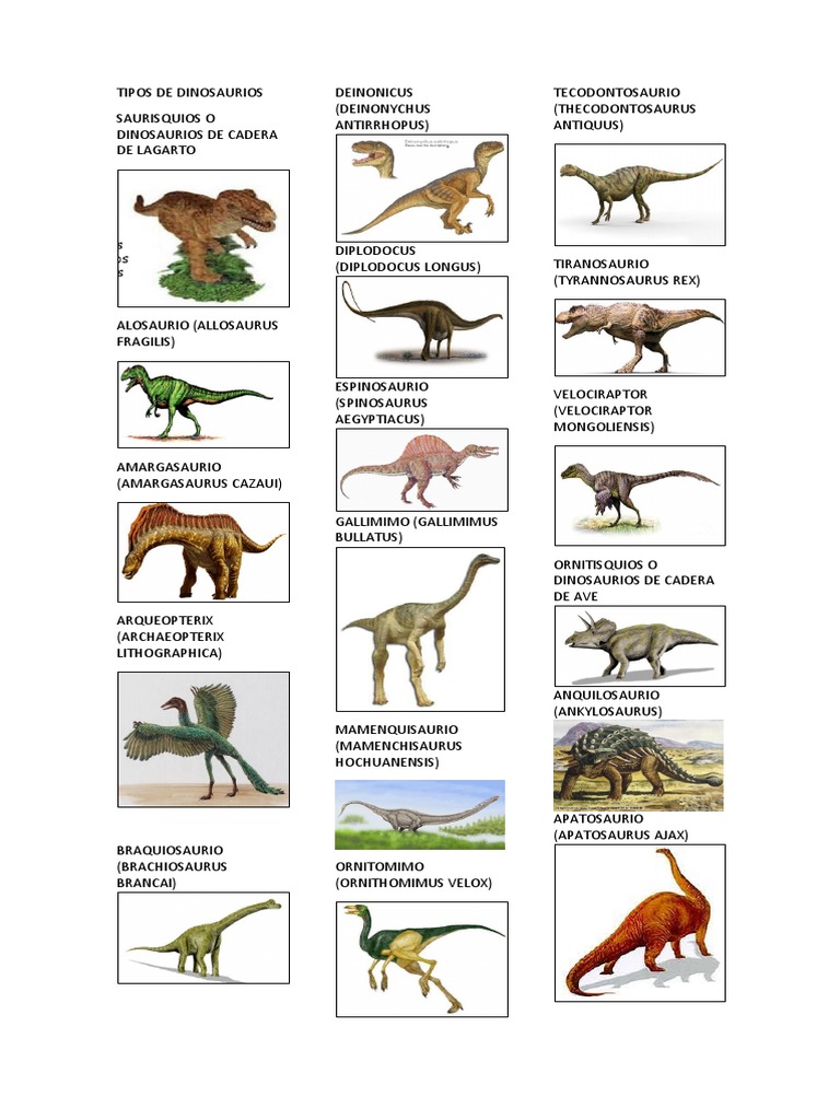 Tipos de Dinosaurio1 | PDF | Dinosaurios | Archosaurios Cretáceos