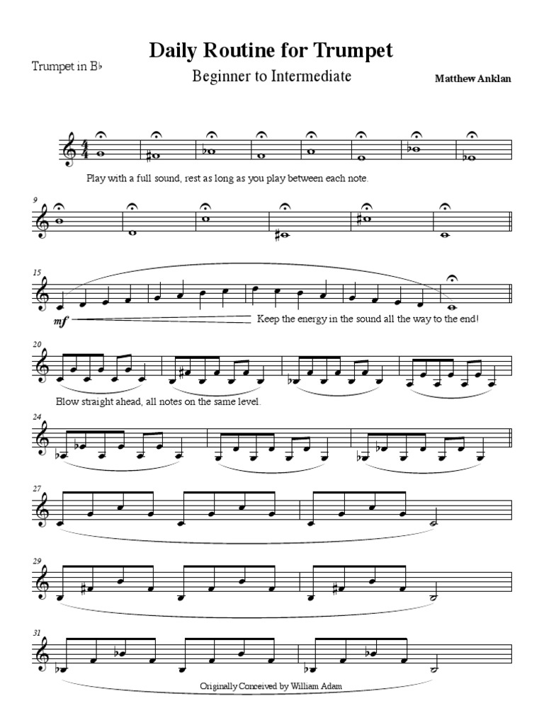 Beginner To Intermediate Routine - Trumpet in BB | PDF | Musical ...