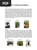 Ejemplos de Los Signos Naturales | PDF