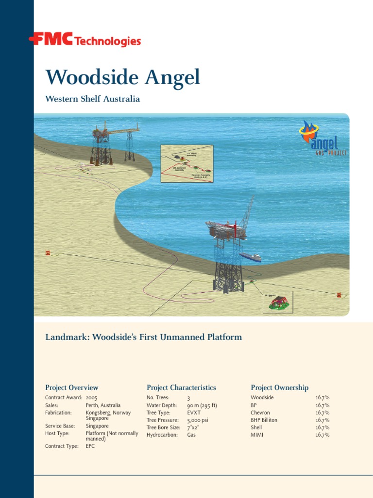 13b FMC Woodside Angel | PDF | Subsea (Technology) | Gases