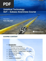 FPSO Umbilical-Flexible Riser Installation Procedure | PDF