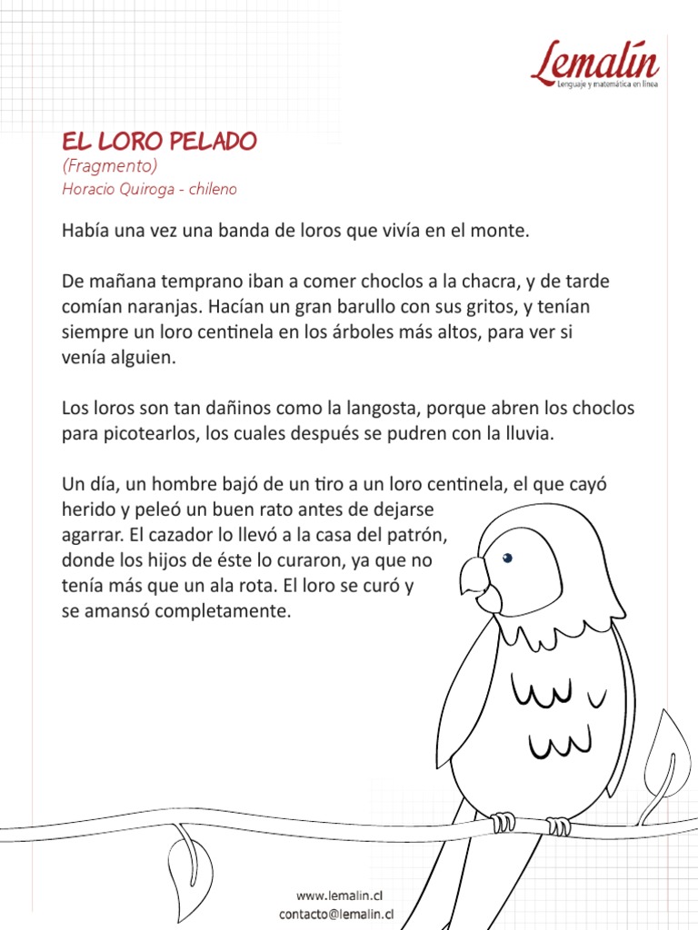 Resumen del cuento "El loro pelado" | PDF | Libros para adolescentes