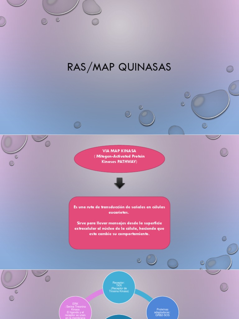 Vía MAP Kinasa y Proteína RAS | PDF | Proteína quinasa activada por ...