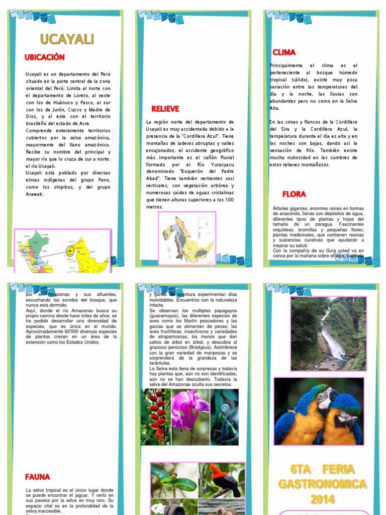 TRIPTICO Ucayali 2014 | PDF | Naturaleza