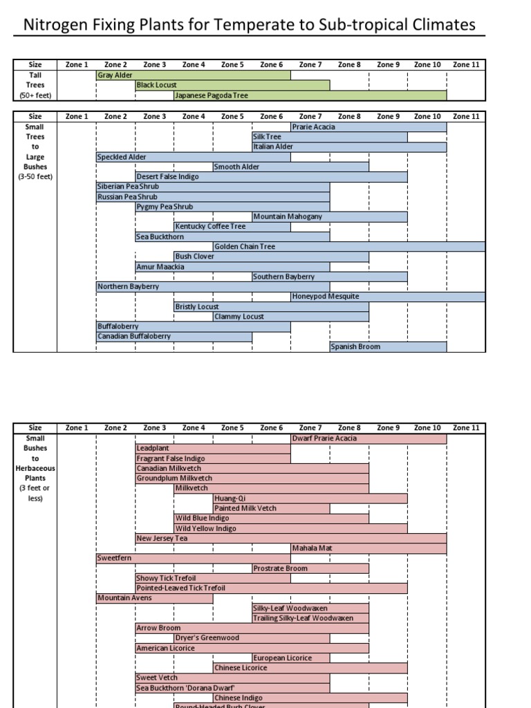 Nitrogen Fixing Plants Chart | PDF
