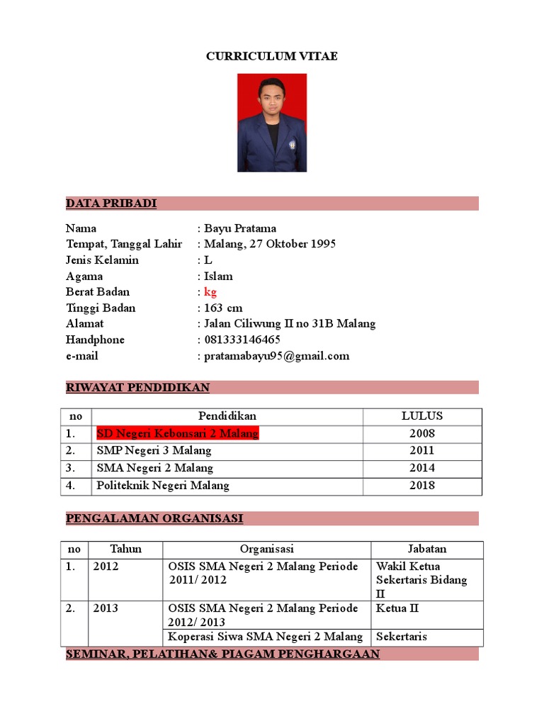 CV Bayu Pratama: Pendidikan & Pengalaman | PDF