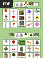 Bingo de Plantas Fotos
