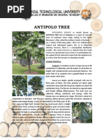 RISE Issue - Batikuling | PDF | Leaf | Seed