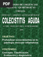 FRUTENZIMA: Usos y Beneficios Clínicos | PDF | Páncreas | Órgano (anatomía)