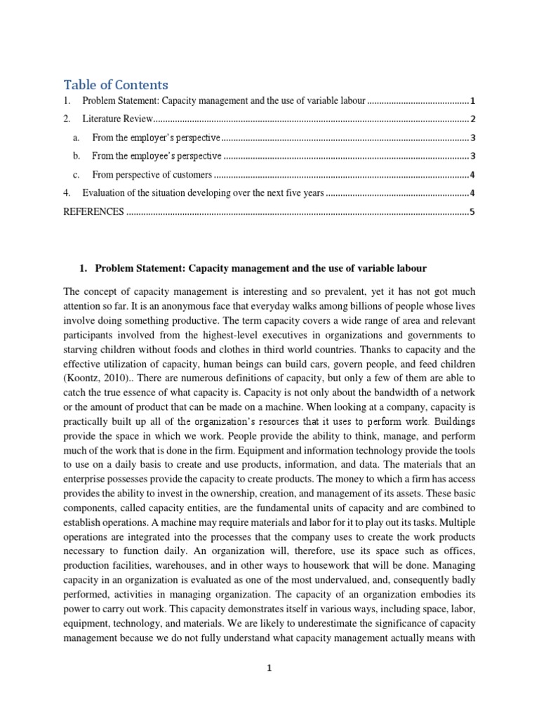 Problem Statement: Capacity Management and The Use of Variable Labour ...