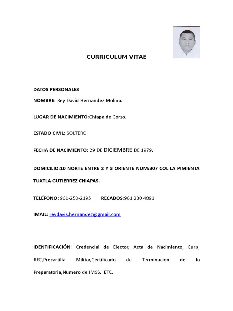 Curriculum David 2 | PDF | Farmacia | Inventario