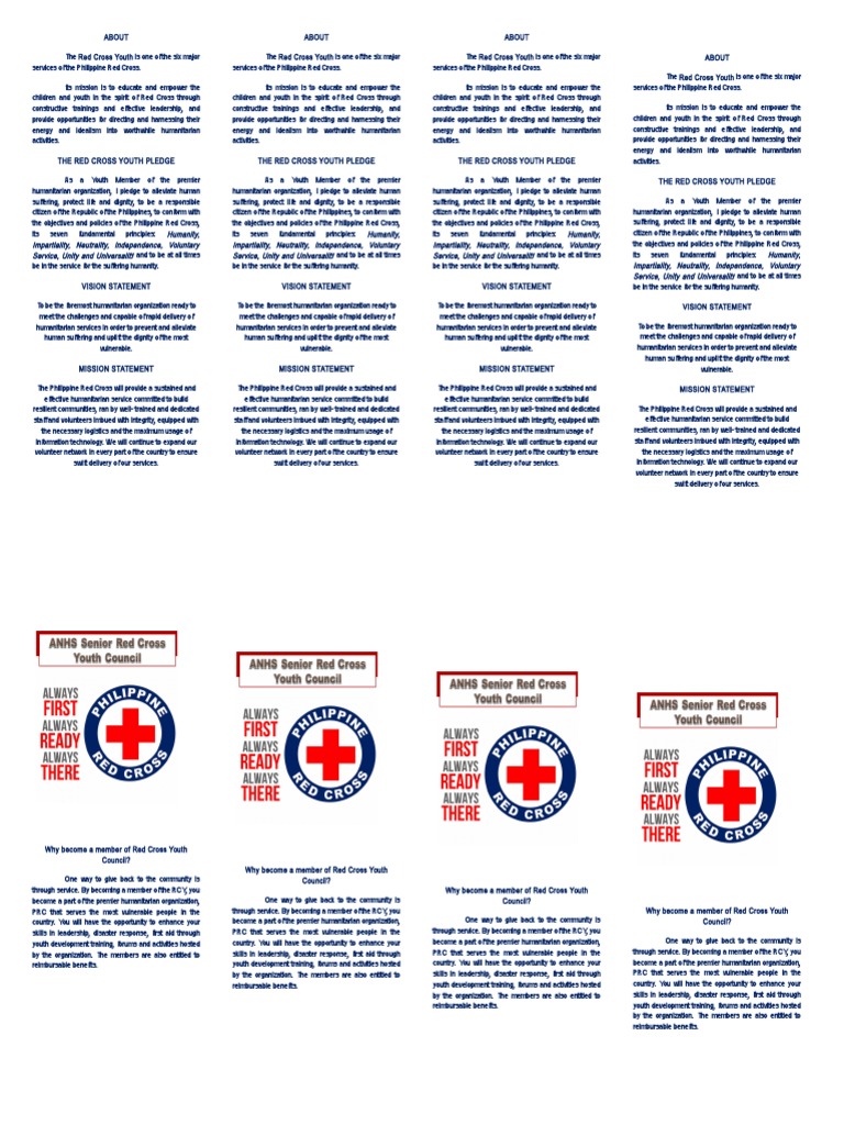 Red Cross Youth Pledge, Vision & Mission | PDF | Public Sphere | Government