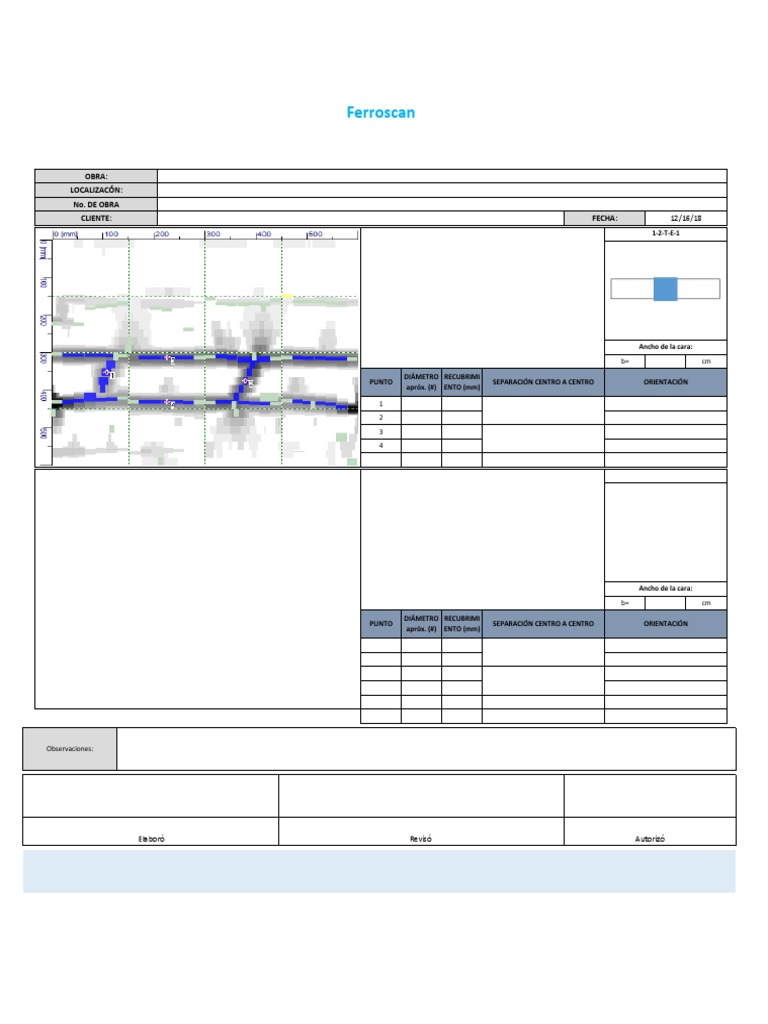 Formato Ferroscan | PDF